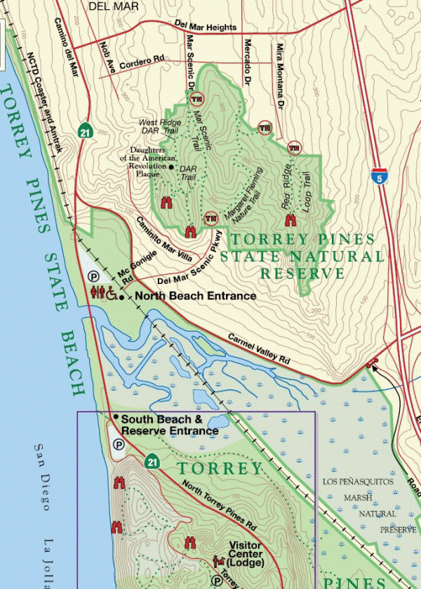 Trails - Torrey Pines State Natural Reserve