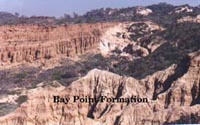 Bay Point Formation - Torrey Pines State Natural Reserve