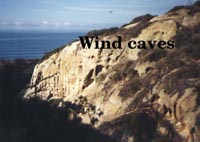 Torrey Sandstone - Torrey Pines State Natural Reserve