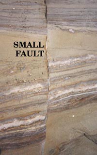 Faults - Torrey Pines State Natural Reserve