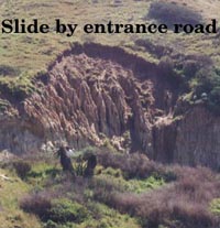 Erosion - Torrey Pines State Natural Reserve